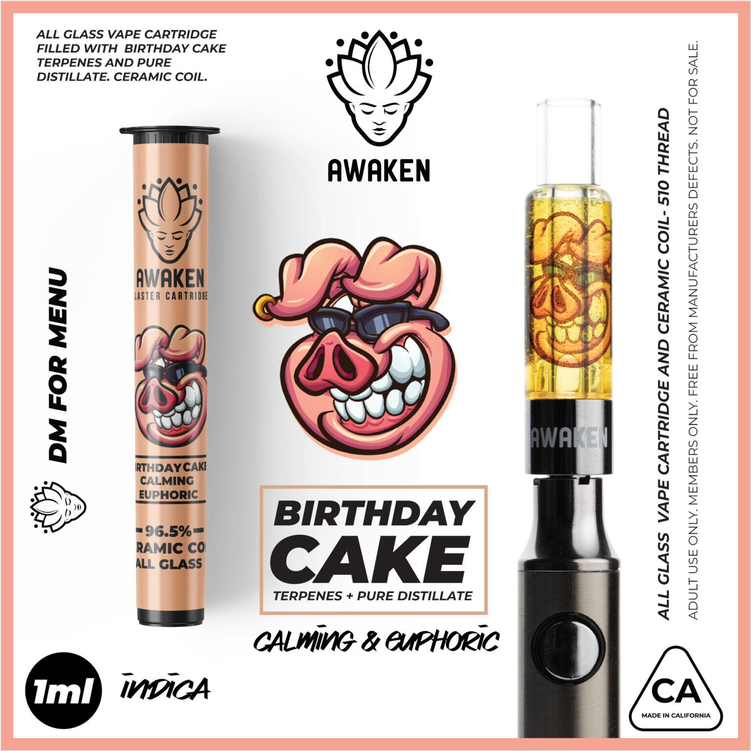 Awaken Blaster Cartridges - Awaken Vapes - THC Vapes Delivered to your ...